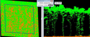 Forest canopy mapping with drone LiDAR - marvel