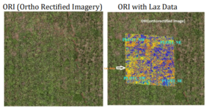 Forest canopy mapping with drone LiDAR - marvel