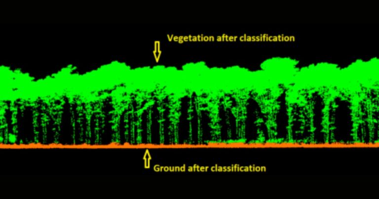 Forest canopy mapping with drone LiDAR - marvel